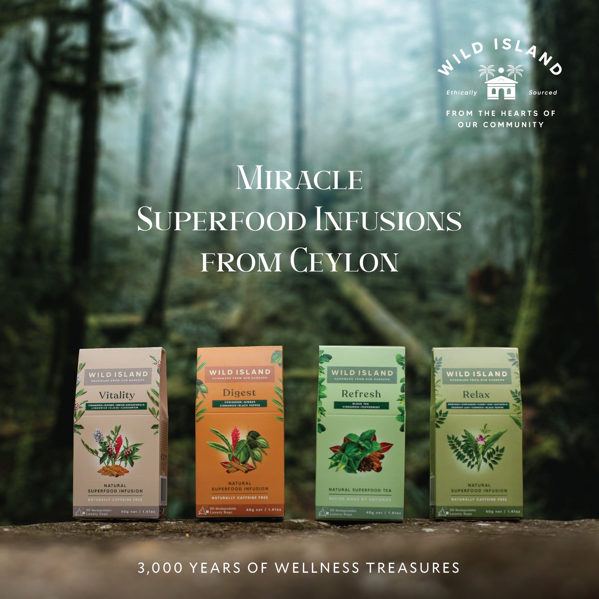A Guide To Dilmah Wild Island Teas & Infusions: Superfoods & Their Ben ...
